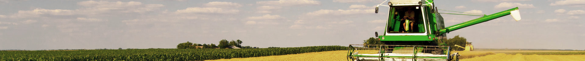 Grain Seperator / Scalper - Grain Cleaning Equipment